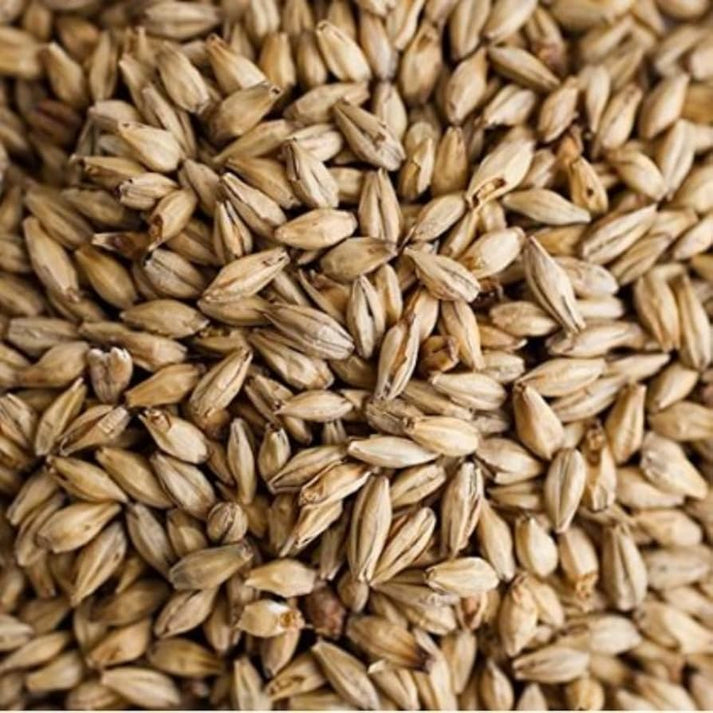 2 Row Brewers Malt – Forever Homebrewing