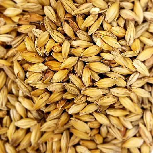 Base Malts – Forever Homebrewing