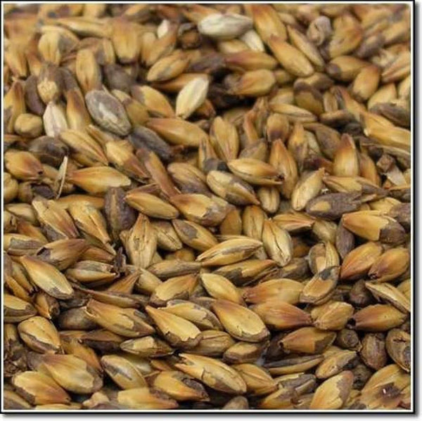 Special Roast Malt - 40L – Forever Homebrewing